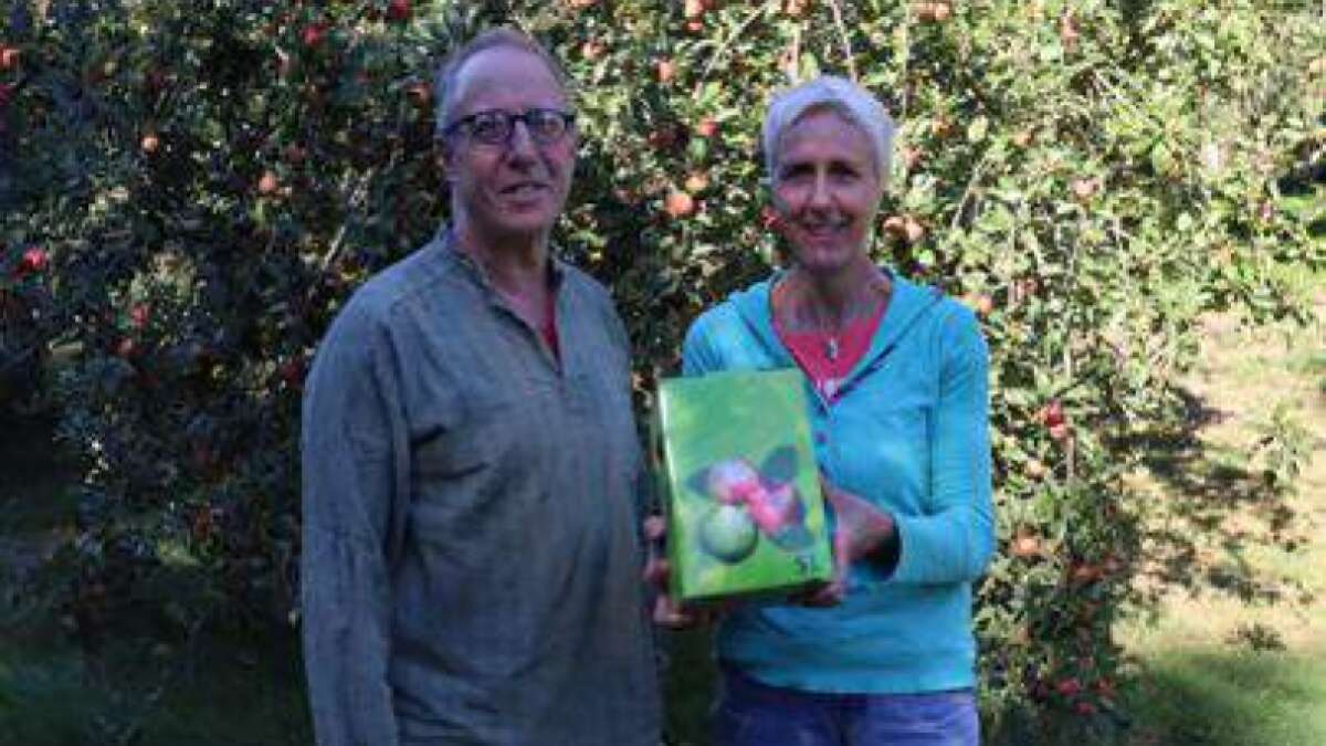 Alte Apfelsorten werden zu Saft