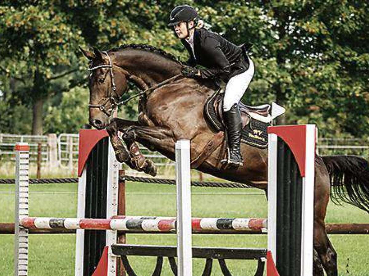 Reiter messen sich im Dressur- und Springreiten