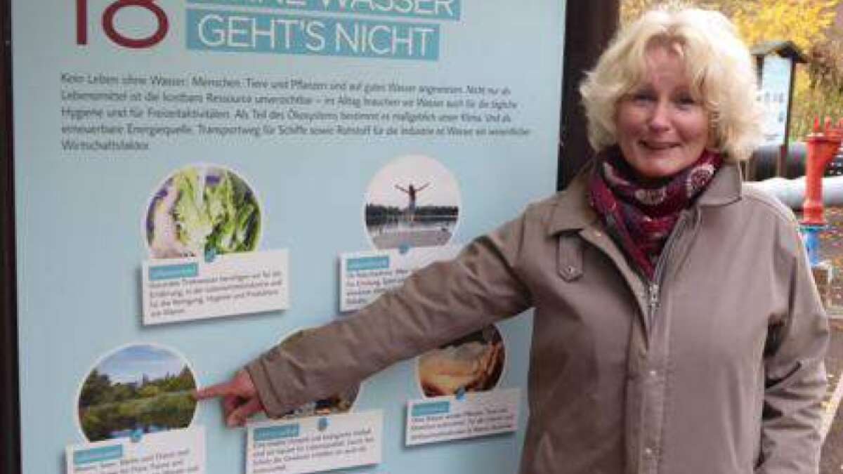 Volles Programm an vier Stationen