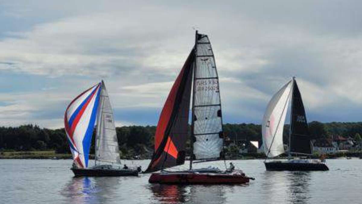 Segeln: Braker Max Engelke meistert Einhand-Regatta in Dänemark