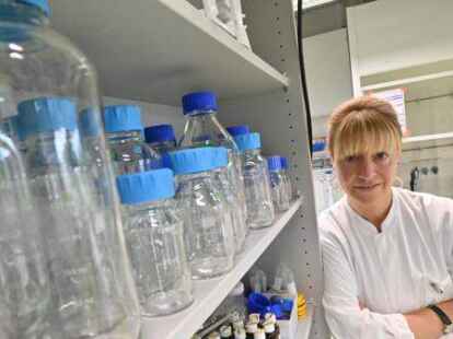 Medizin-Studium in Oldenburg: Leichenschau und Nassanatomie nur in Groningen