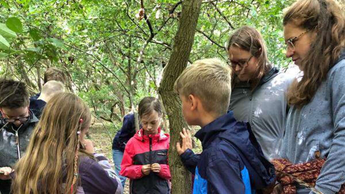 Ferienprogramm der VHS Hatten + Wardenburg für Kinder und Jugendliche