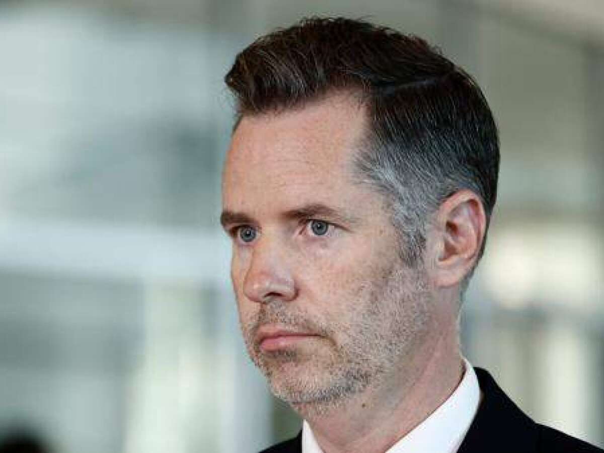 Christian Dürr (FDP): „Kein leichtes Bündnis für uns“