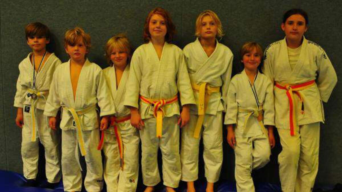 Judo Team Wildeshausen: Fünf Podestplätze für junge Sportler