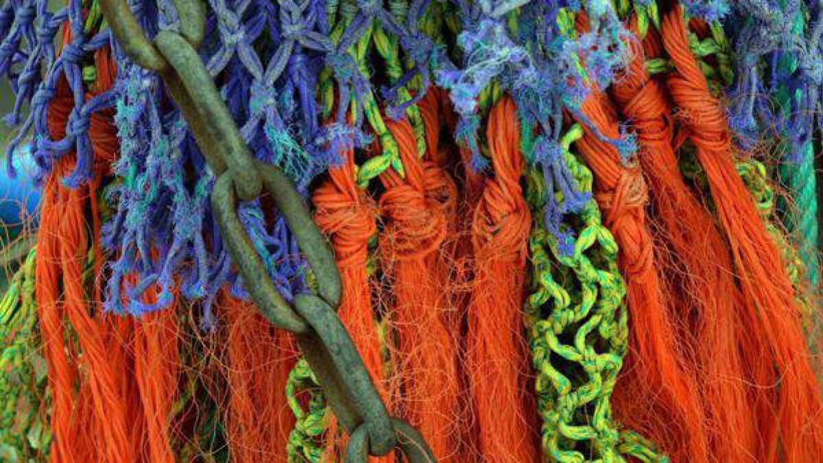 Dolly Ropes in der Fischerei: Warum auf Hooksiels „Trotz“ die ...