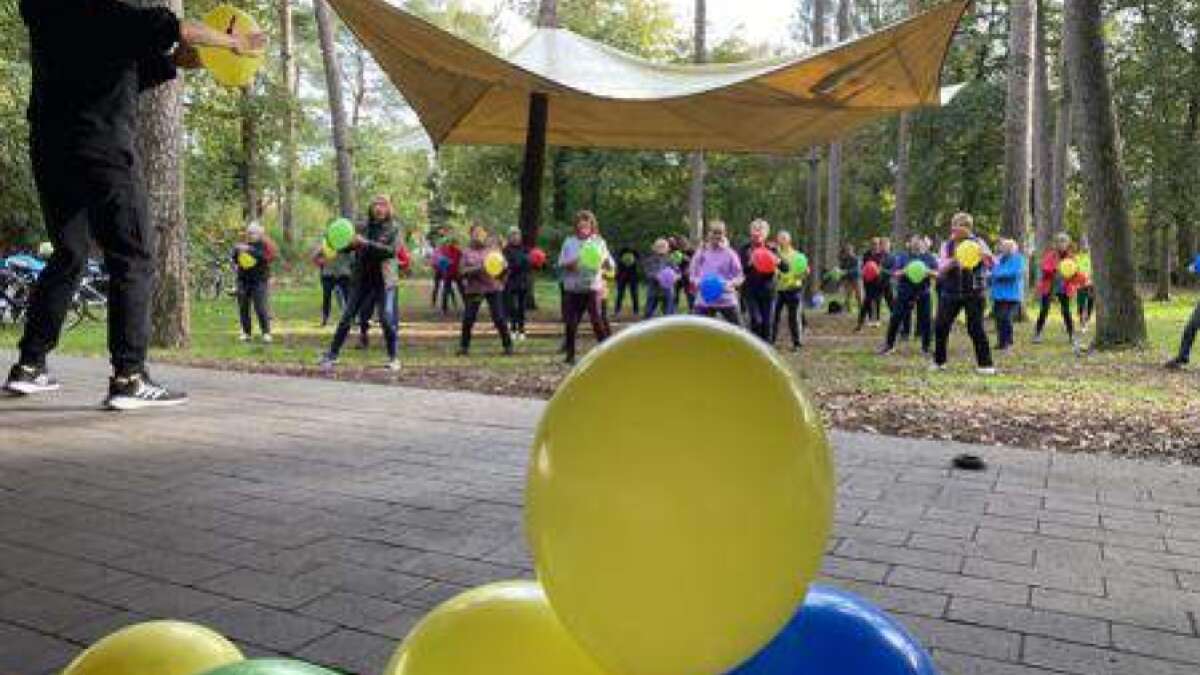 Waldfitness in Sandkrug: Positive Effekte auf Körper und Geist