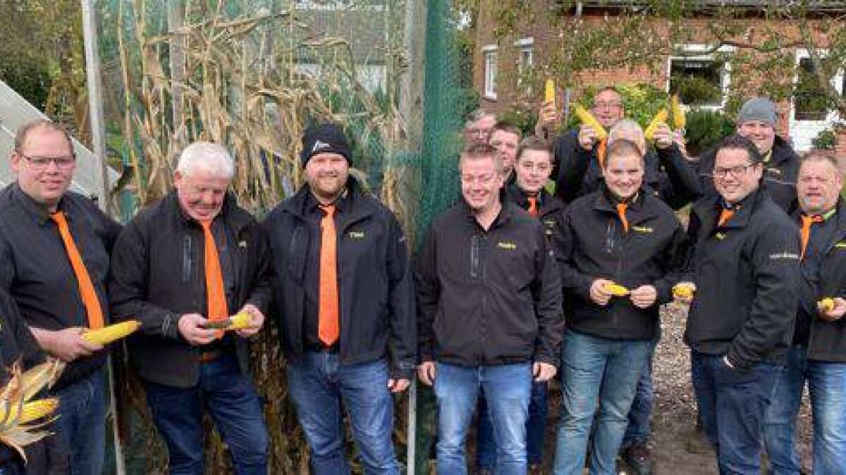 Dingstede: Herren-Club D-Ko-Ma-C sucht Sieger im Maisernten