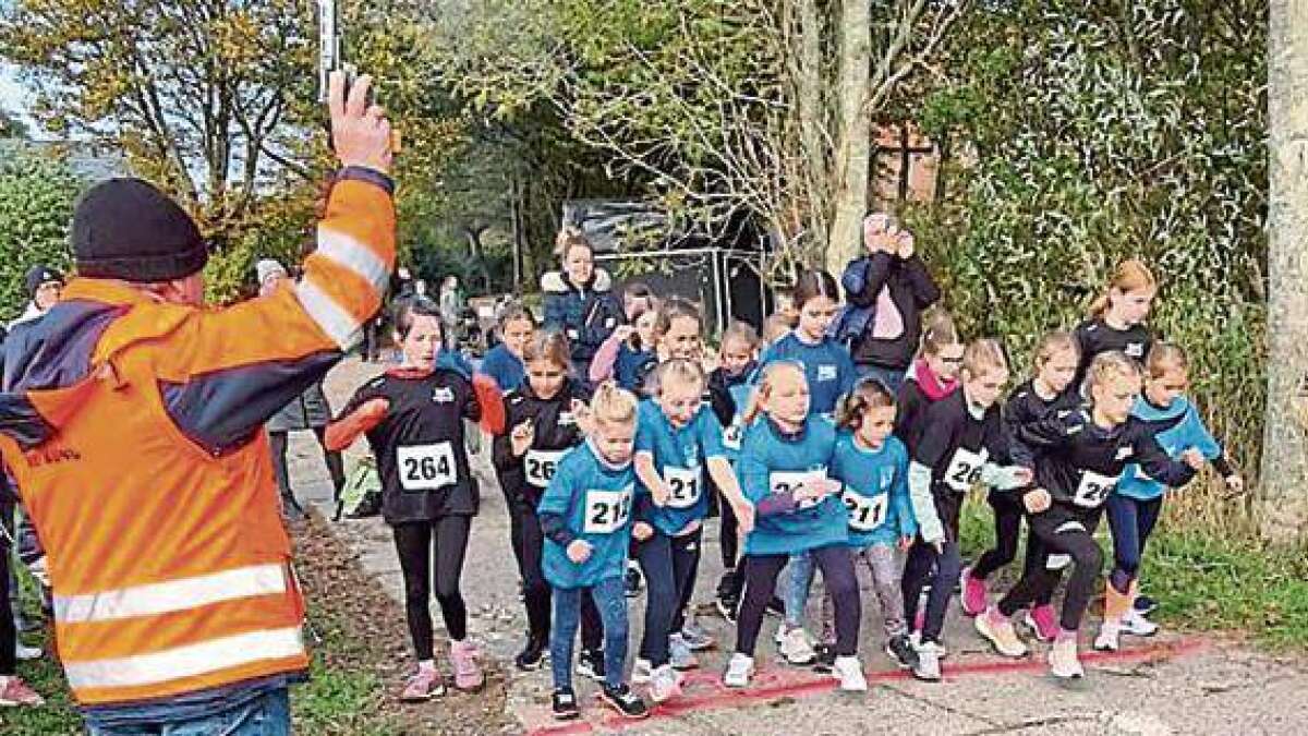 Leichtathletik: Ronny Bartels vom SV Brake überragt bei Crosslauf in ...