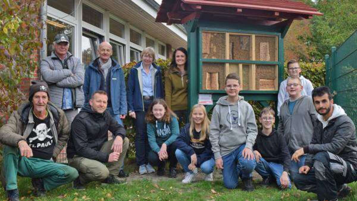 KGS Rastede: Insektenhotel ermöglicht Anschauungsunterricht