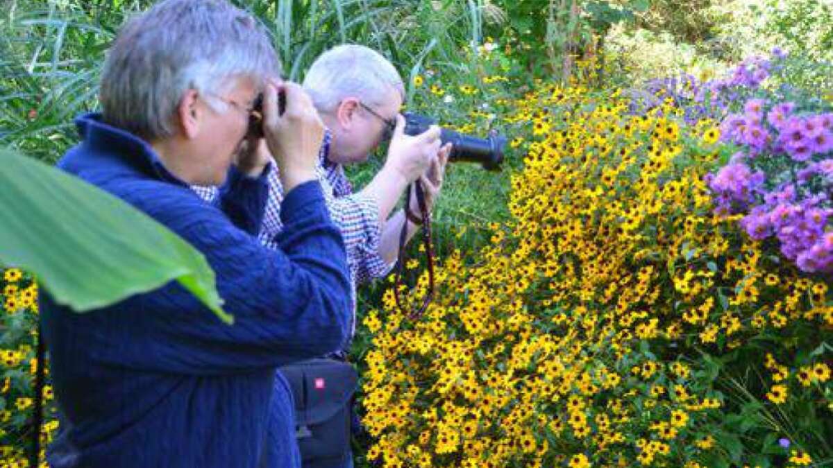 Arboretum in Neuenkoop: Letzte Führung der Saison