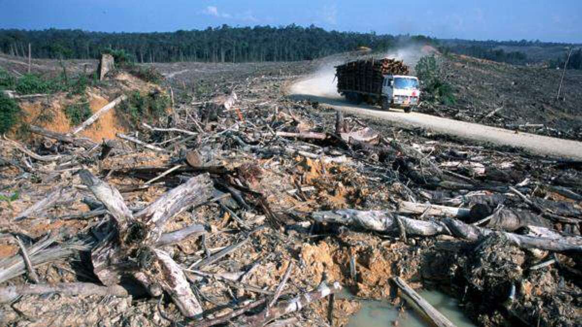 Vortrag in Ganderkesee