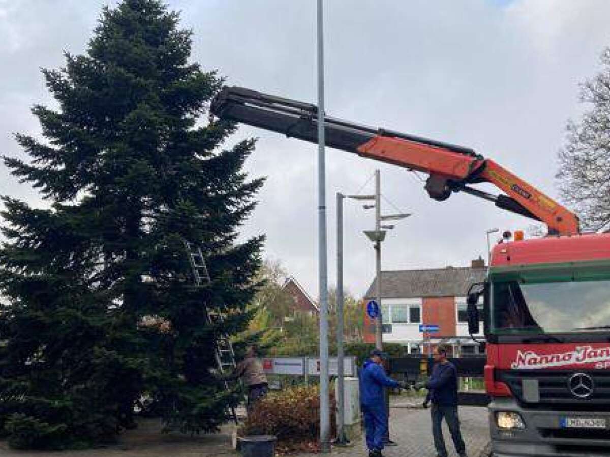 Anleuchtfest Emder Zeitung am 26. November: Der Baum steht