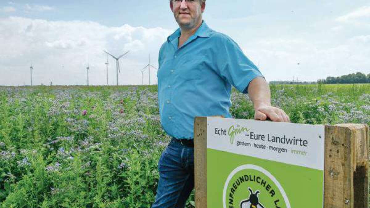 Politikverdrossenheit: Was unternehmen Politiker in Emden, um dem ...