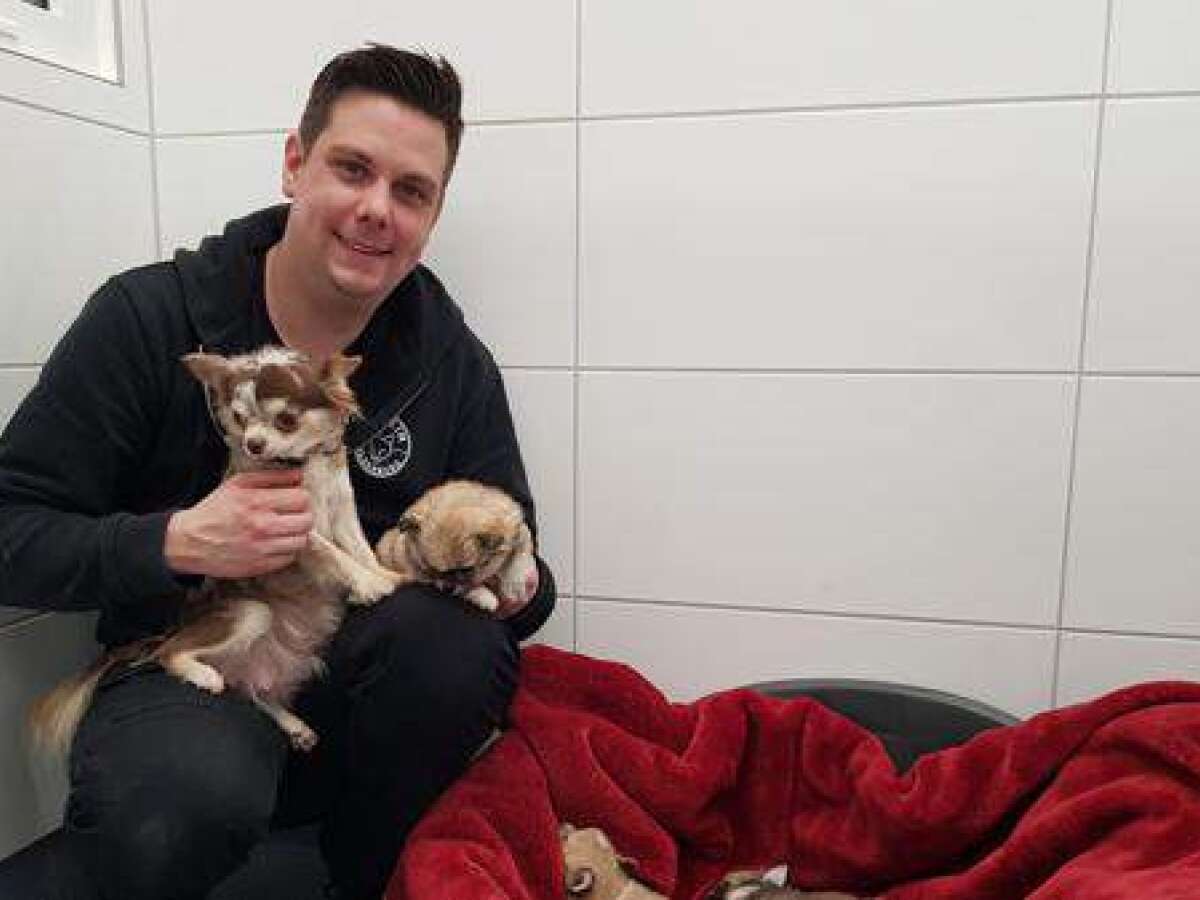 Nachrichten aktuell: Frauen aus Bösel wollen Schützenköniginnen werden ...