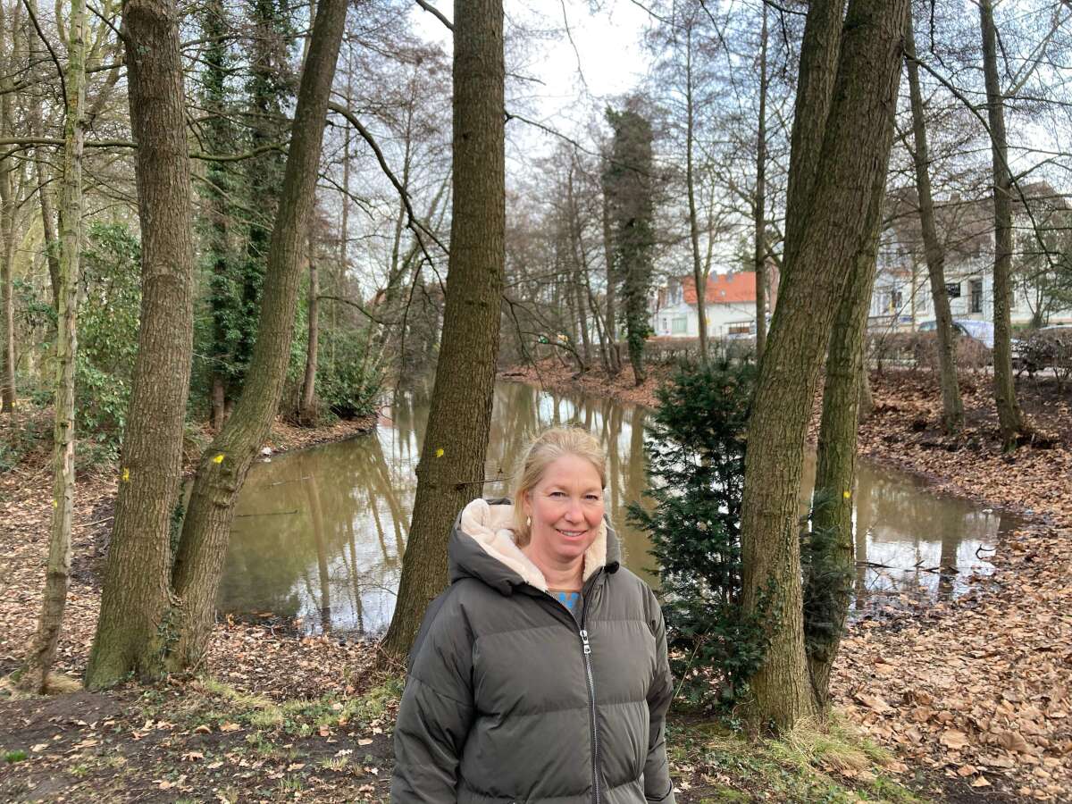 Bäume fallen in Oldenburgs Klimaoase Eversten Holz