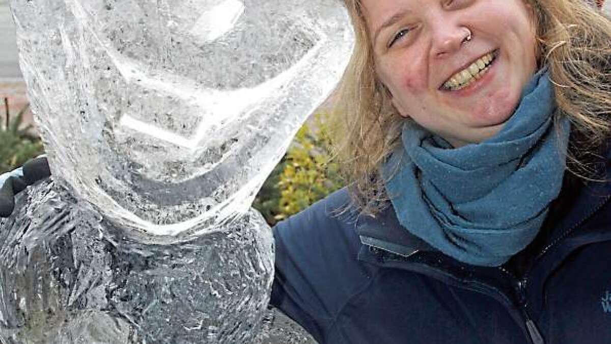 „Eisige“ Kunst in Schortens Disney-Figuren aus Eis – Von Löwe bis ...