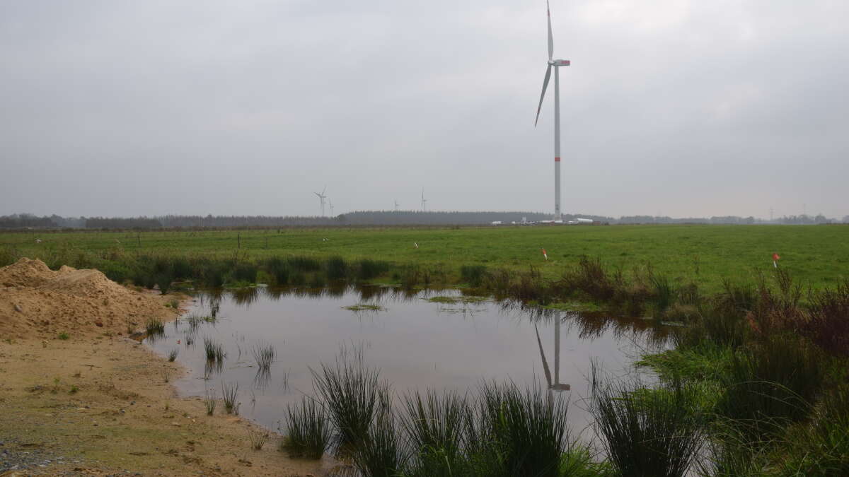 Wiedervernässung von Mooren: Grünlandzentrum Niedersachsen/Bremen ...