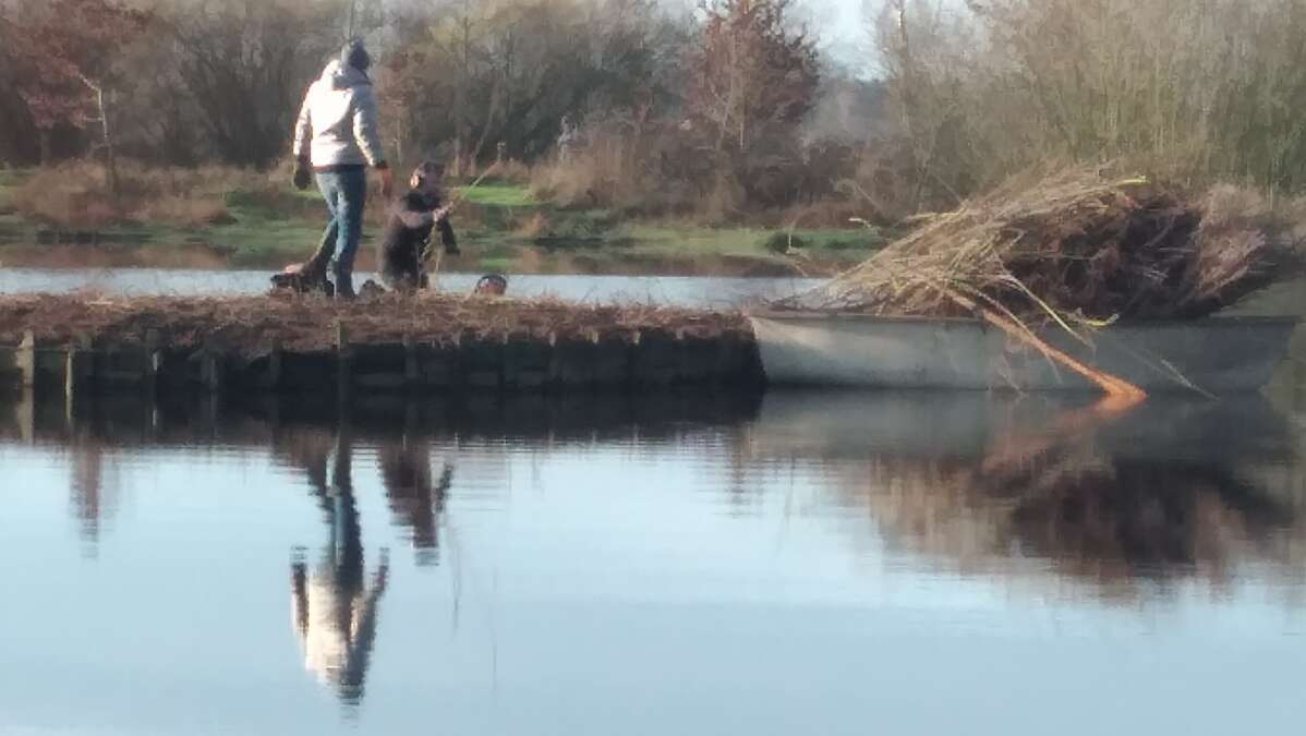 Möwenschlatt in Brettorf: AG Brettorfer Vereine macht Insel hübsch