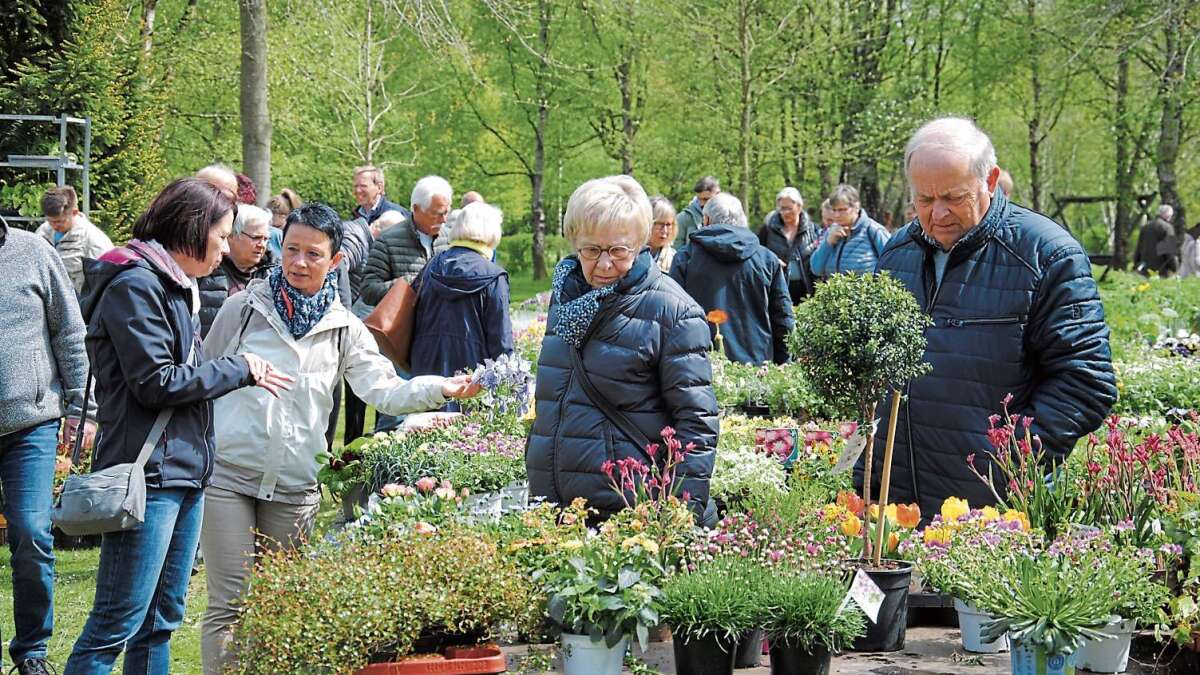 Stadtmanagerin Ute Rittmeier stellt Veranstaltungen für das Frühjahr in ...