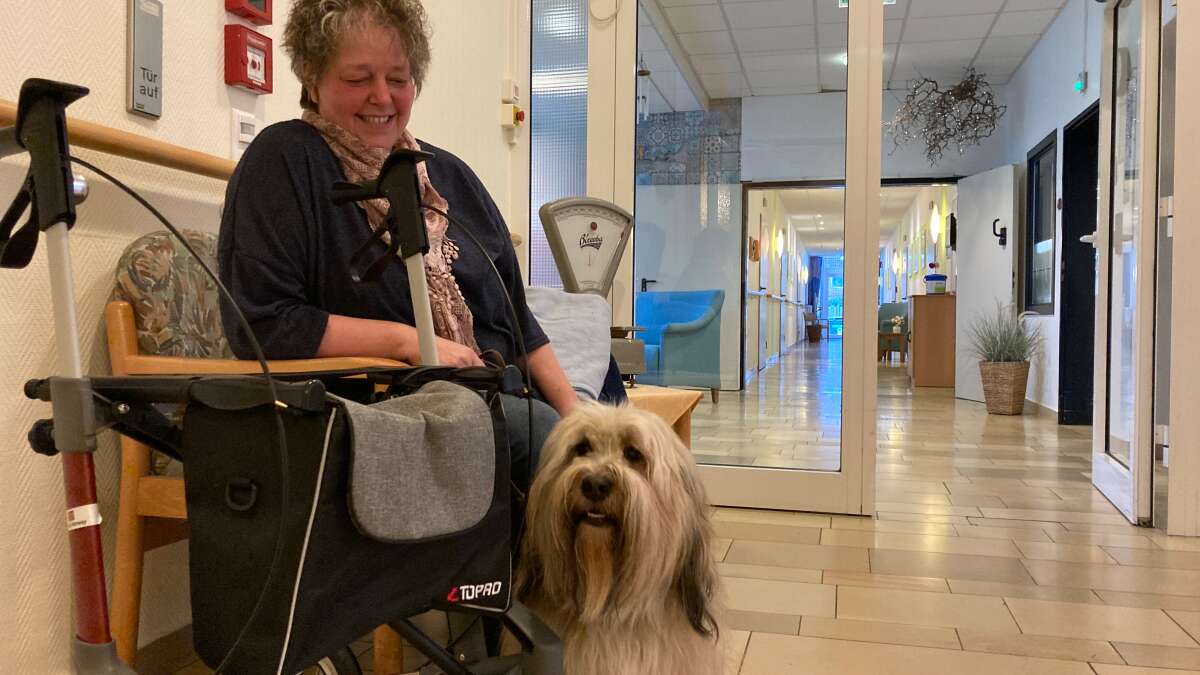Altenheim in Zetel: Besuchshund gegen die Einsamkeit