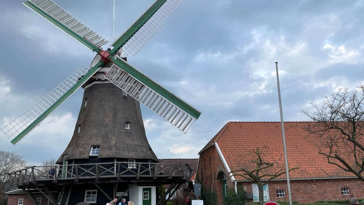 Frühlingsmarkt Accumer Mühle