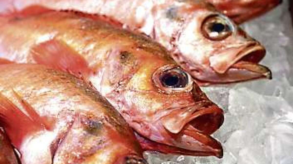 Beim Fisch auf Herkunft achten