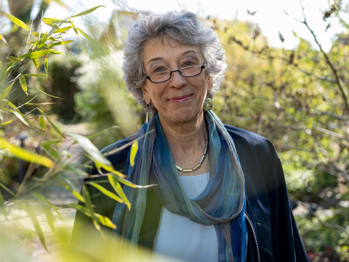 Gasthörstudium an der Uni Oldenburg: Das sind die Erfahrungen