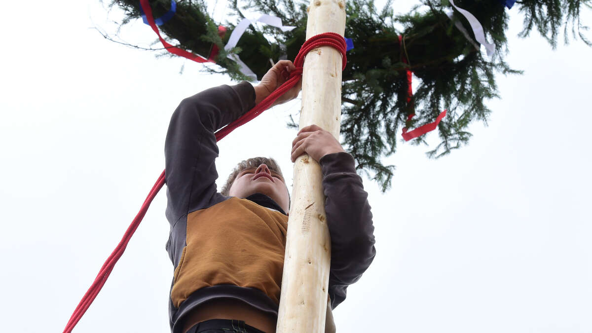Maibaum–Feiern in Ostfriesland: Ein alter Brauch, den Graf Ulrich Cirksena beinahe verboten hätte