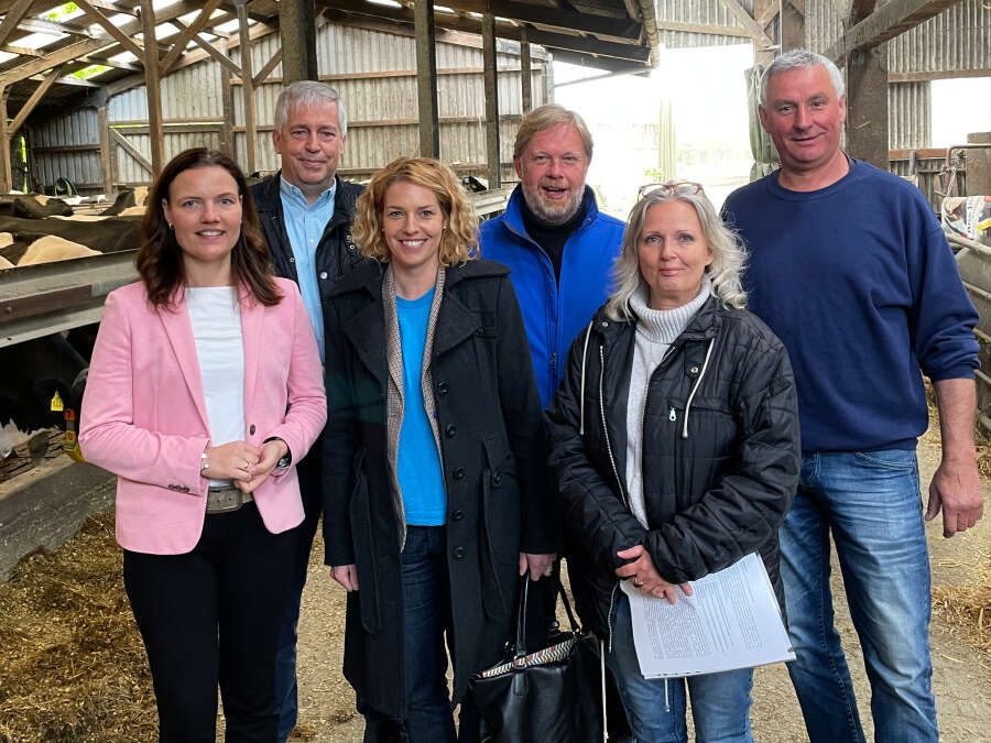 Wolf in Friesland: CDU-Kreistagsfraktion will Resolution beschließen