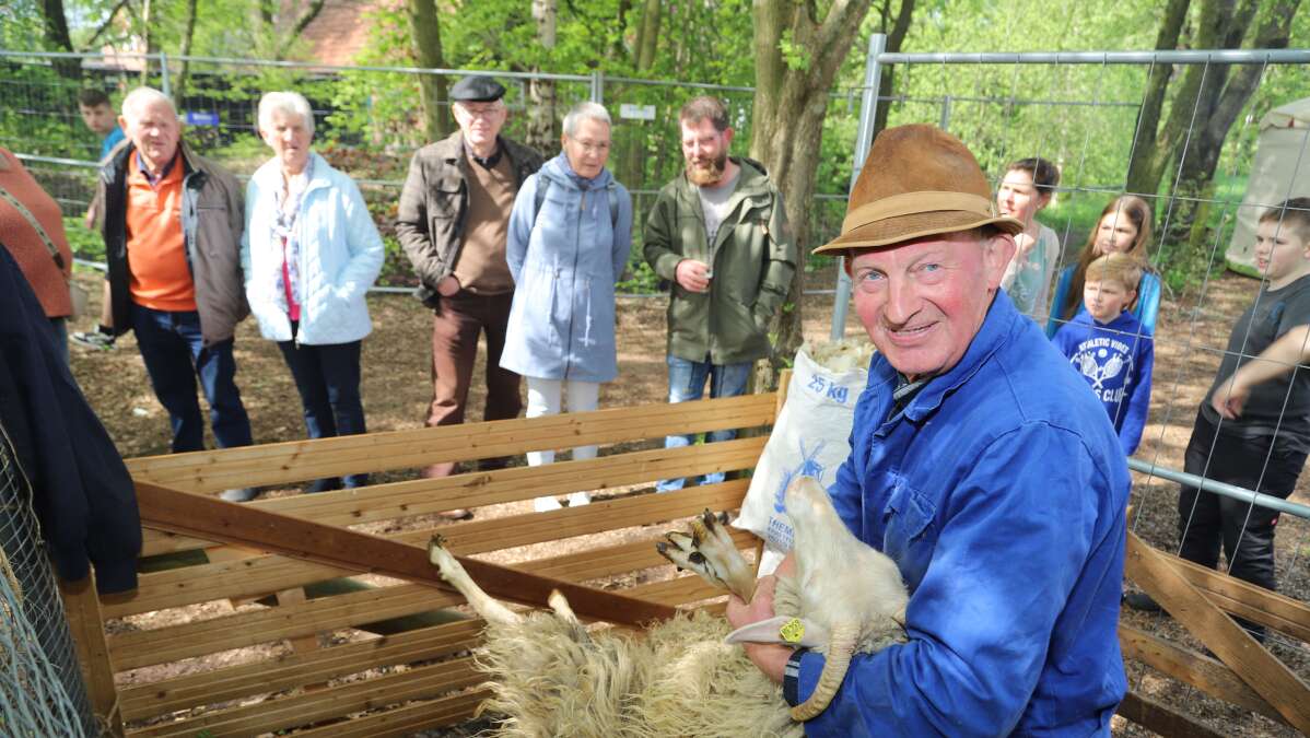 9. Handwerker- und Bauernmarkt Bösel: Viele Besucher sehen ...