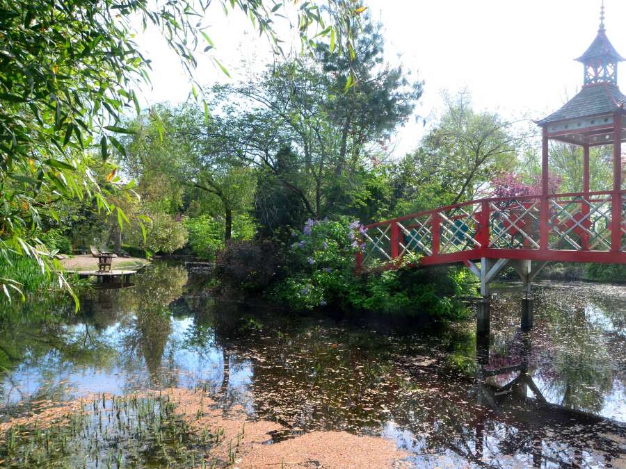Arboretum Neuenkoop am Muttertag zum ermäßigten Preis besuchen