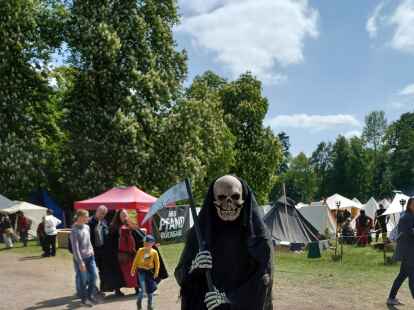 Mittelalterlich Phantasie Spectaculum 2023 in Rastede: Bilder vom MPS ...