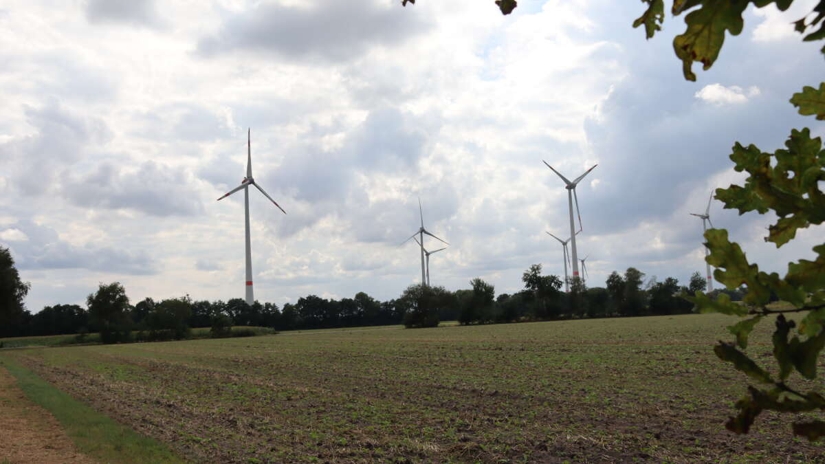 Erneuerbare Energien: Edewecht plant schon mit Windkraftflächen am ...