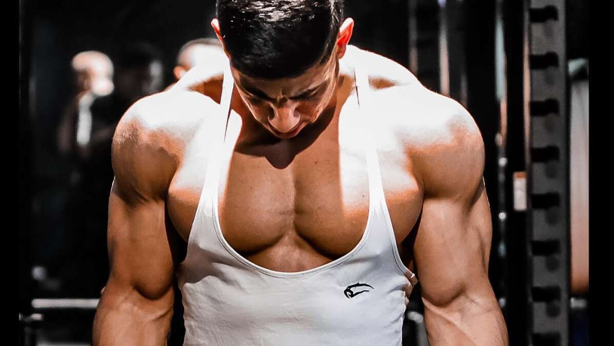 Bodybuilding und Fitness in Oldenburg, Ammerland, Wittmund: Abu Khaled ...