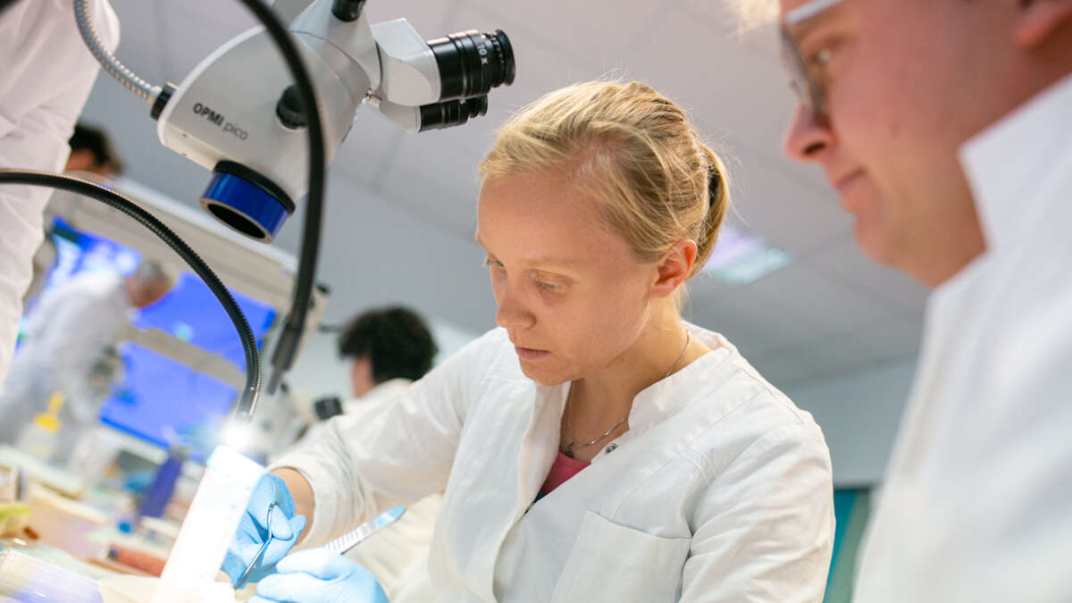 Universitätsmedizin Oldenburg: Kein Geld für European Medical School im Haushalt 2024