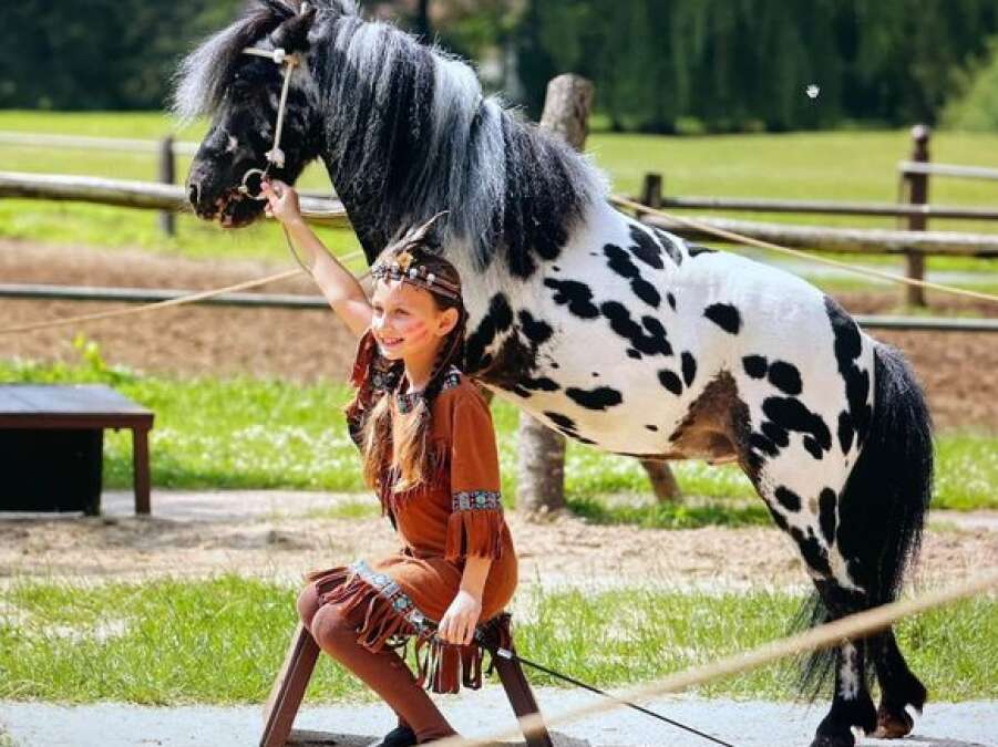 Camping- und Ferienpark Falkensteinsee: Zirkus Francalli bietet ...