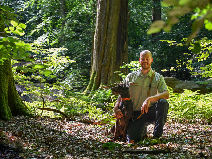 Förster Jan Fiddy Winkelhake: Vareler Wald geht es trotz Hitze und ...