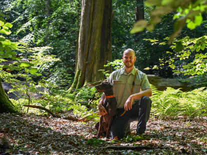 Förster Jan Fiddy Winkelhake: Vareler Wald geht es trotz Hitze und ...
