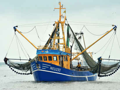 Krabbenfischerei in der Nordsee: Nationalparkverwaltung Wattenmeer erklärt natürliche ...
