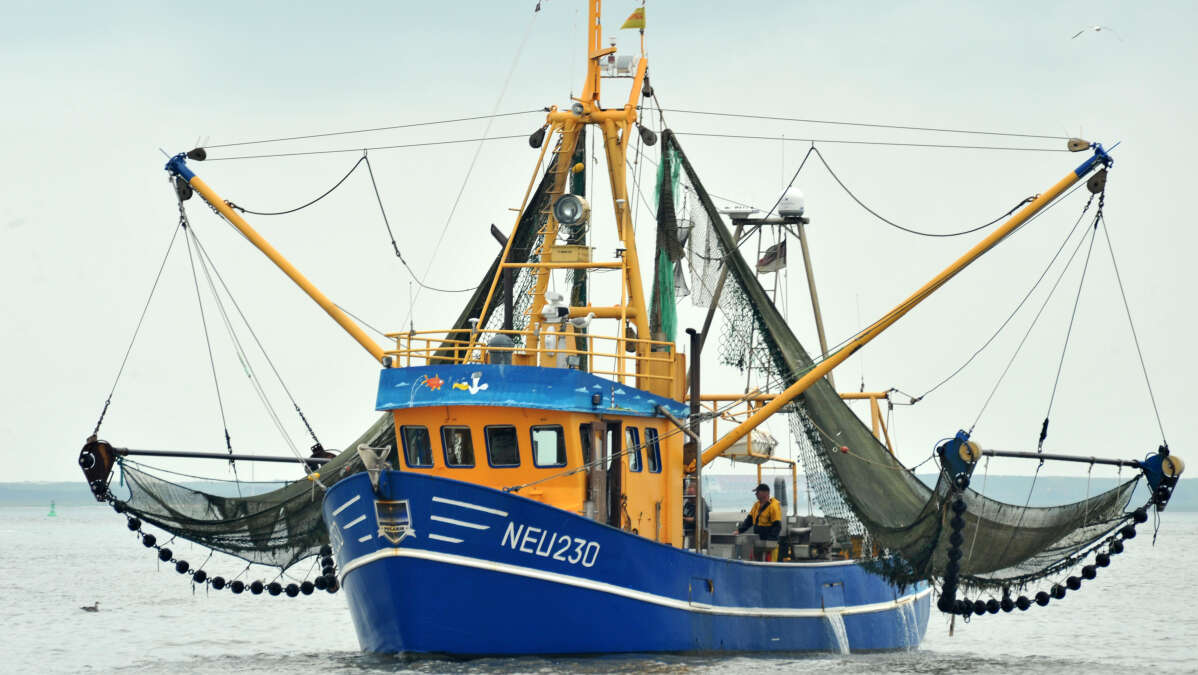 Krabbenfischerei in der Nordsee: Nationalparkverwaltung Wattenmeer ...