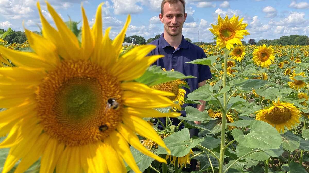 Junglandwirt aus Bookhorn: Tim Jüchter vermarktet Sonnenblumenöl und -kerne