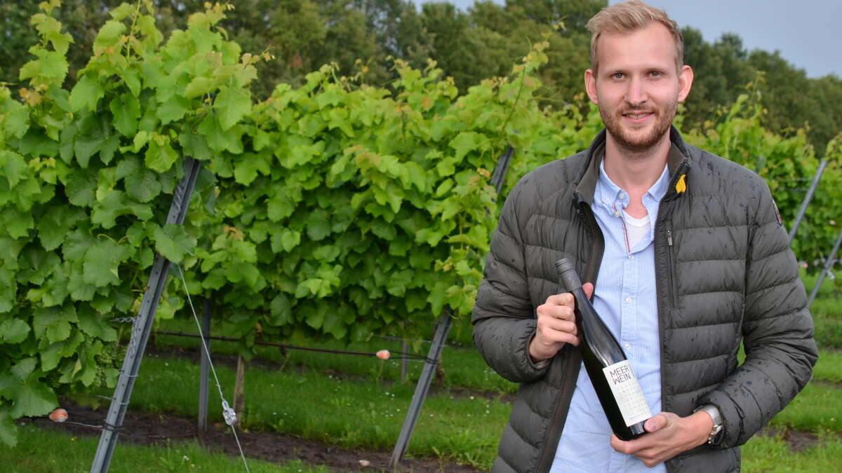 Wein aus Niedersachsen: Michael Bruns aus Bad Zwischenahn produziert ...
