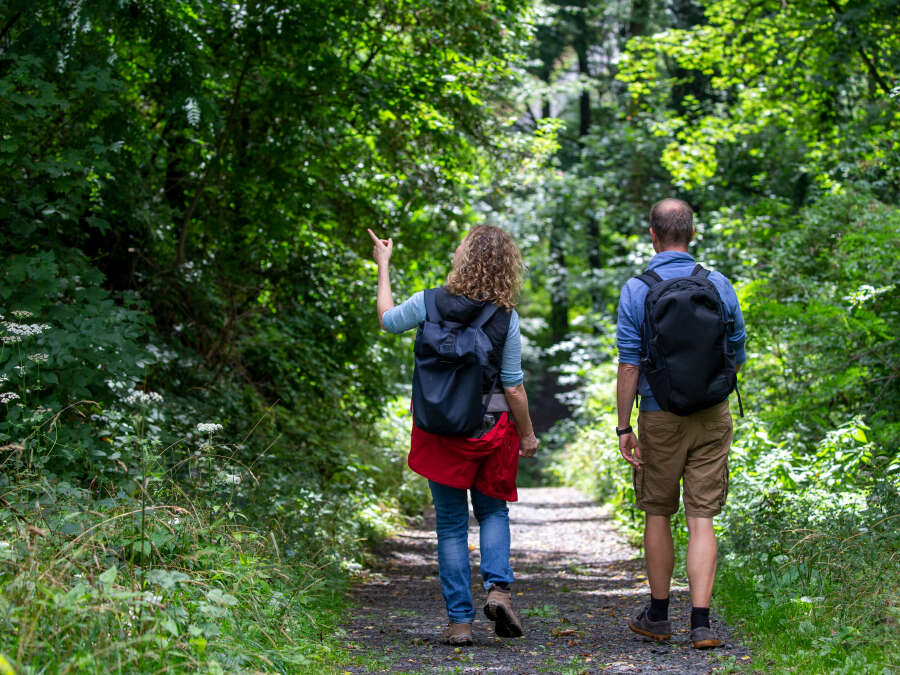 Wandern im Ammerland: Überblick über Spazierwanderwege, Geheimtipps und ...