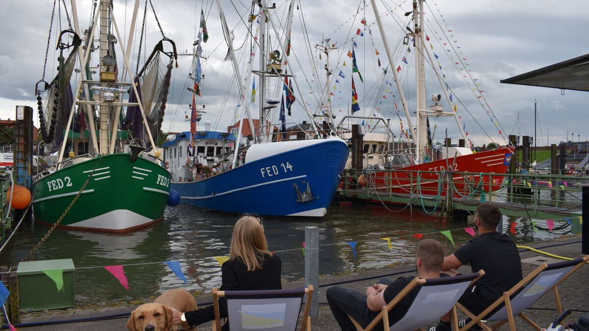 Fedderwardersiel: „Inis Nacht“ ist der neue Hit im Hafen