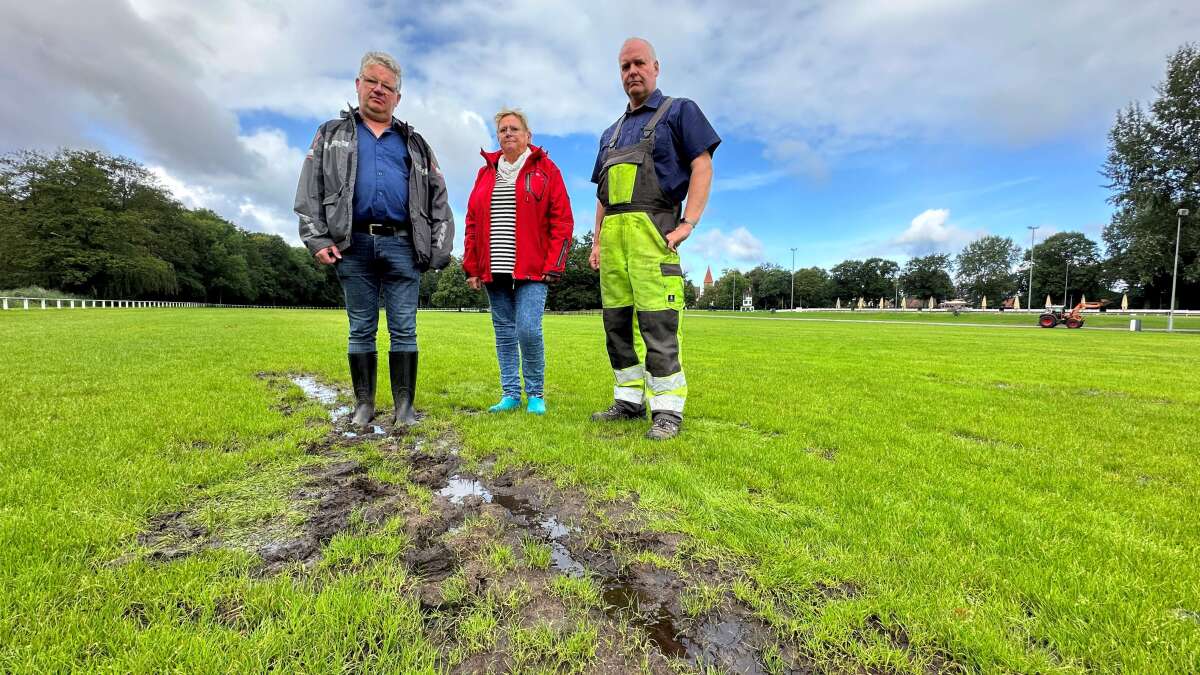 Grasbahnrennen in Rastede: Termin am 12. und 13. August abgesagt vom ...
