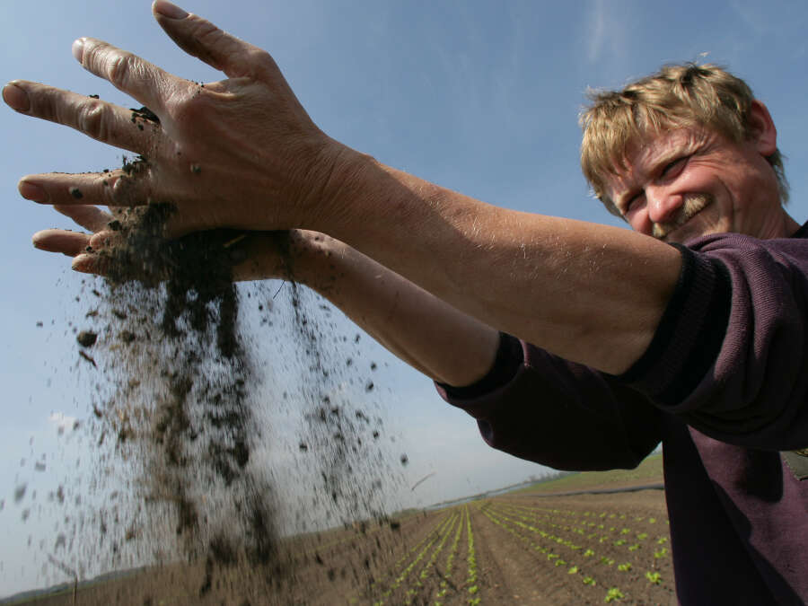 Landwirtschaft im Nordwesten von Niedersachsen: Warum Bauern so oft ...