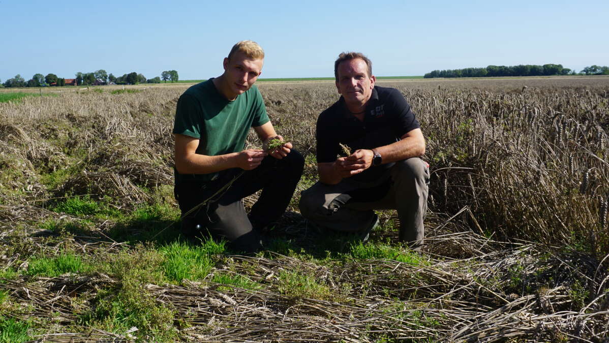 Friesland: Kreislandvolk über Landwirtschaft und Ernte nach dem Regen