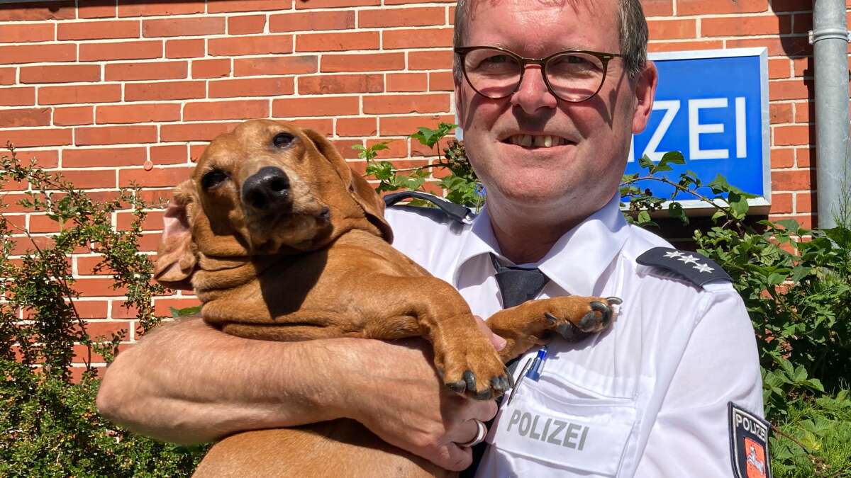Inselpolizist auf Spiekeroog: André Basold und „Polizei“-Dackel Hubert ...