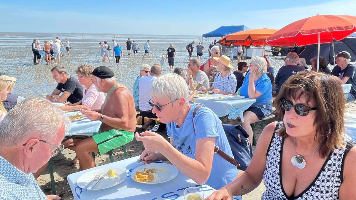 Schollenbraten Im Watt Schillig