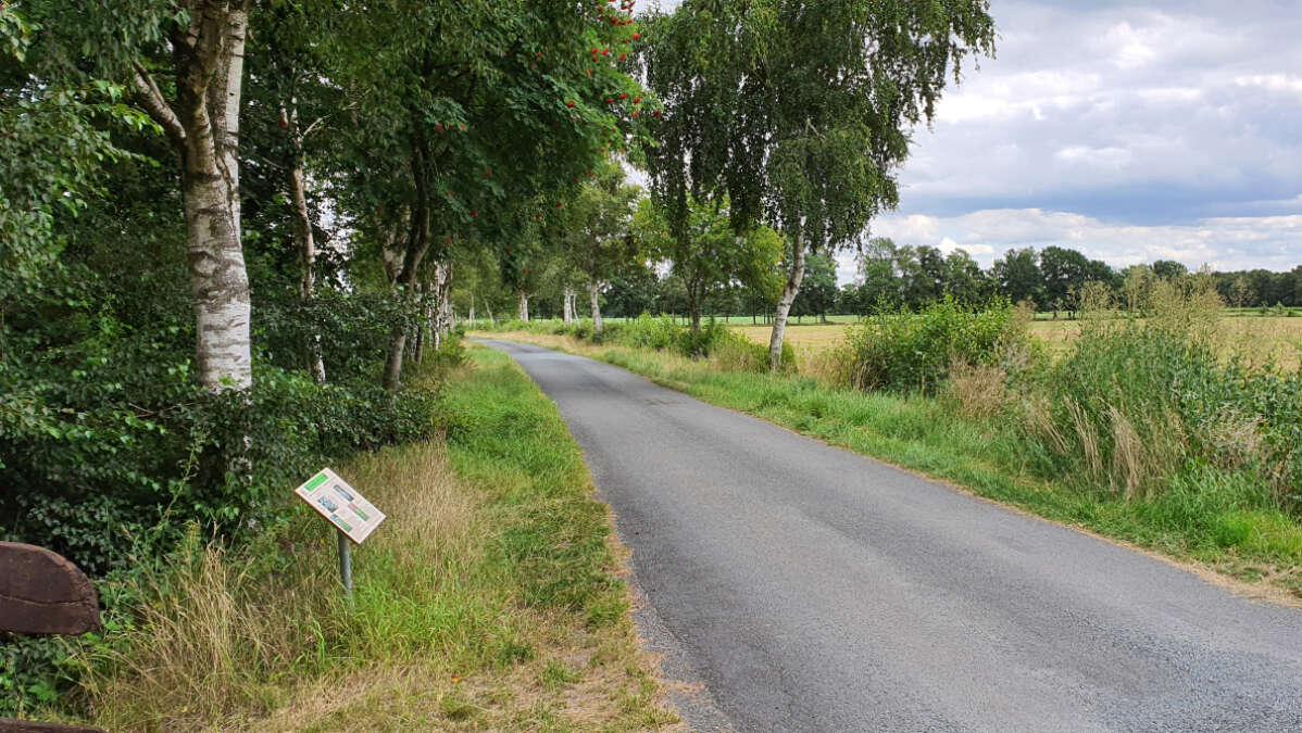 Ländliche Erwachsenenbildung bietet Exkursion auf dem Kräuterlehrpfad an